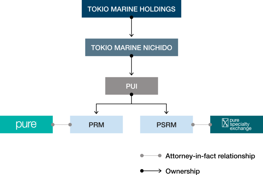 Reciprocal Insurance Model | PURE Insurance
